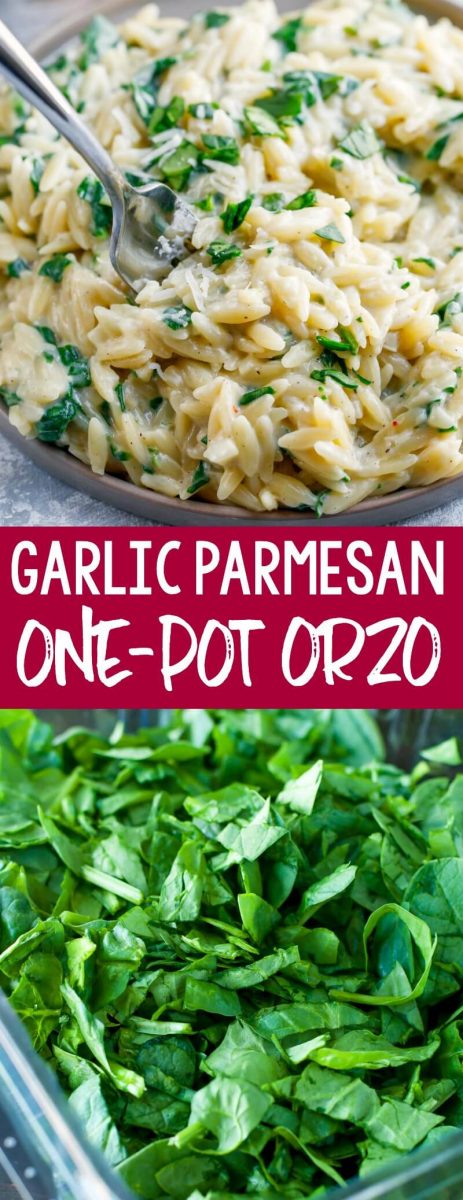Creamy Garlic Parmesan Orzo Recipe - Peas and Crayons